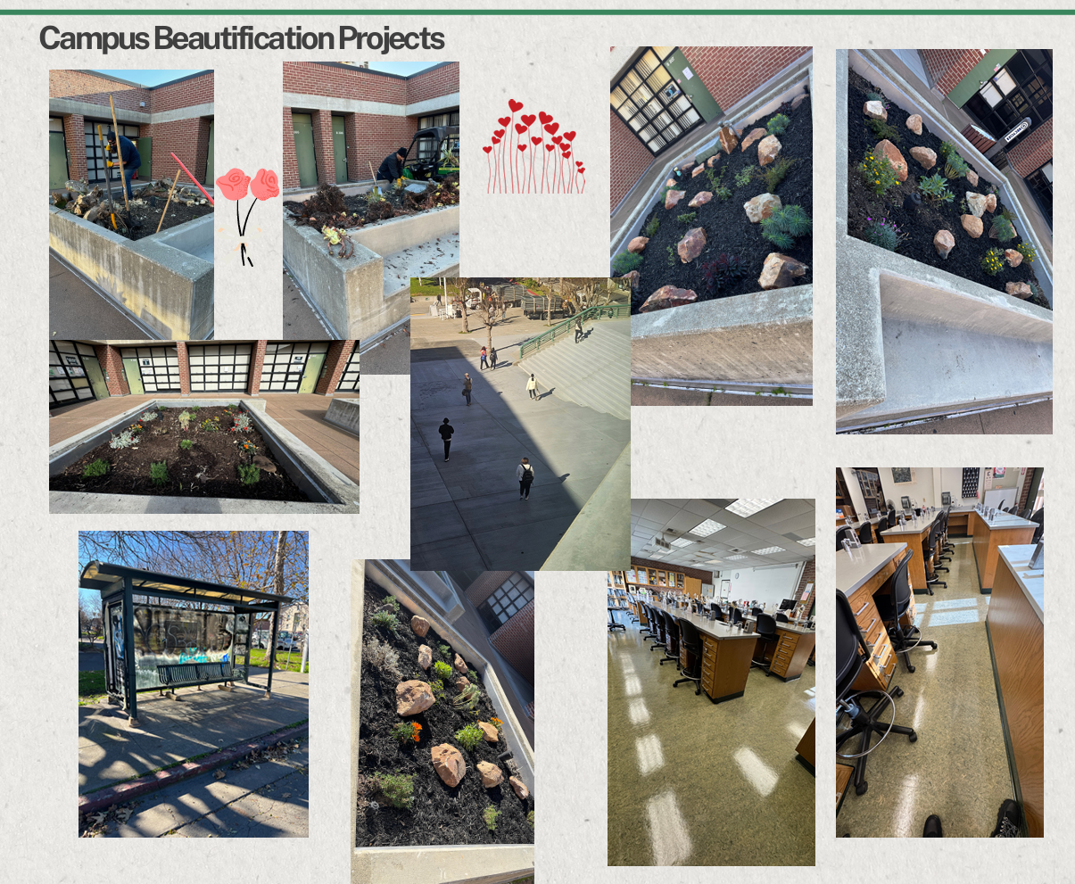 Laney College Beautification Project Brings Life - & Bees - to Campus